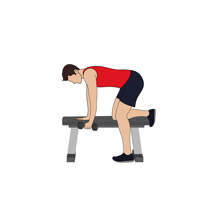 Dumbbell bent over-row - FITNESSSCHEMAS.NL